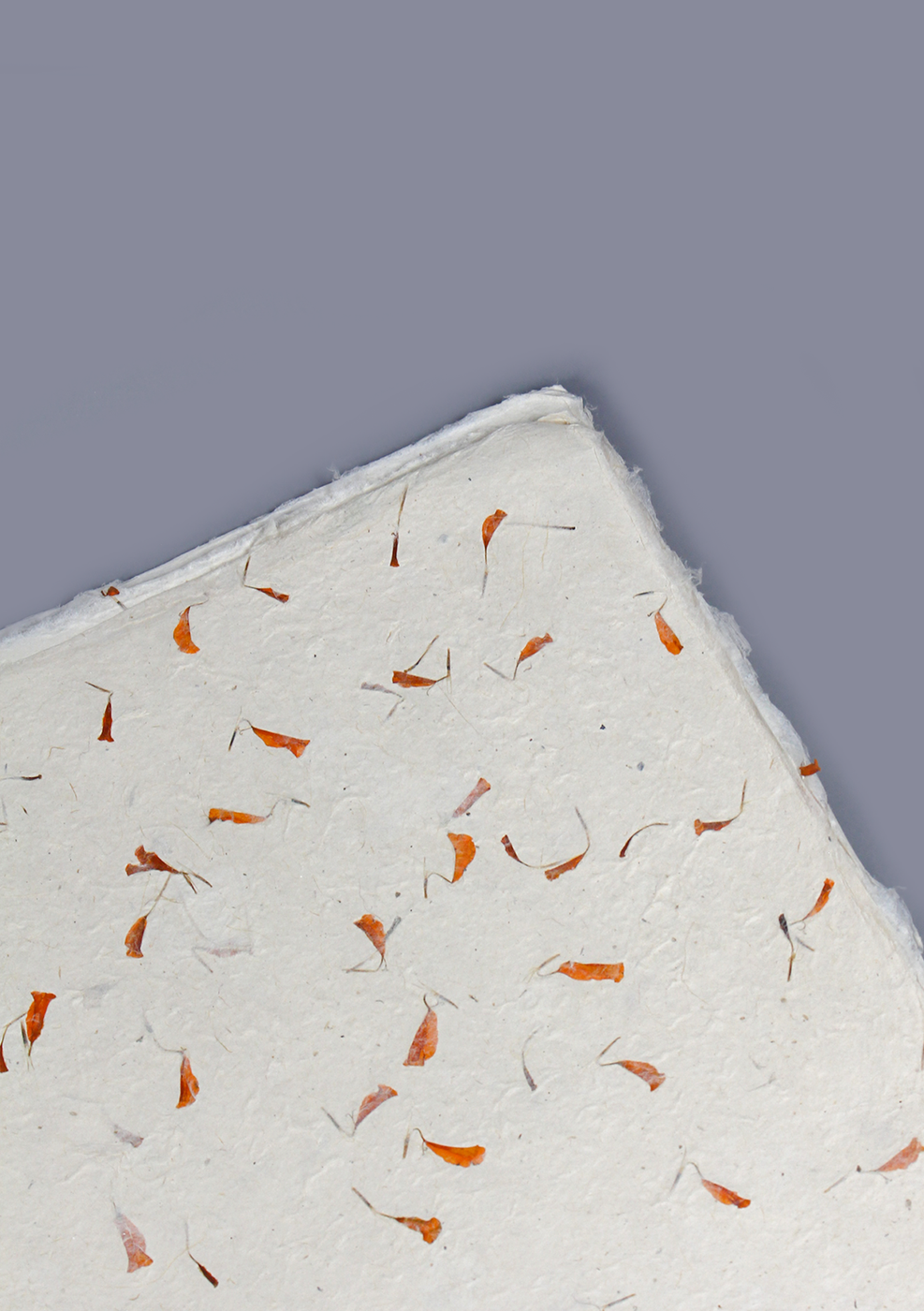 Marigold Flower Petals Embedded Lokta Paper Gift Wrap — NepaCrafts Product